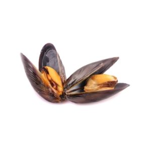 Black Mussels – Riverina Seafood Market