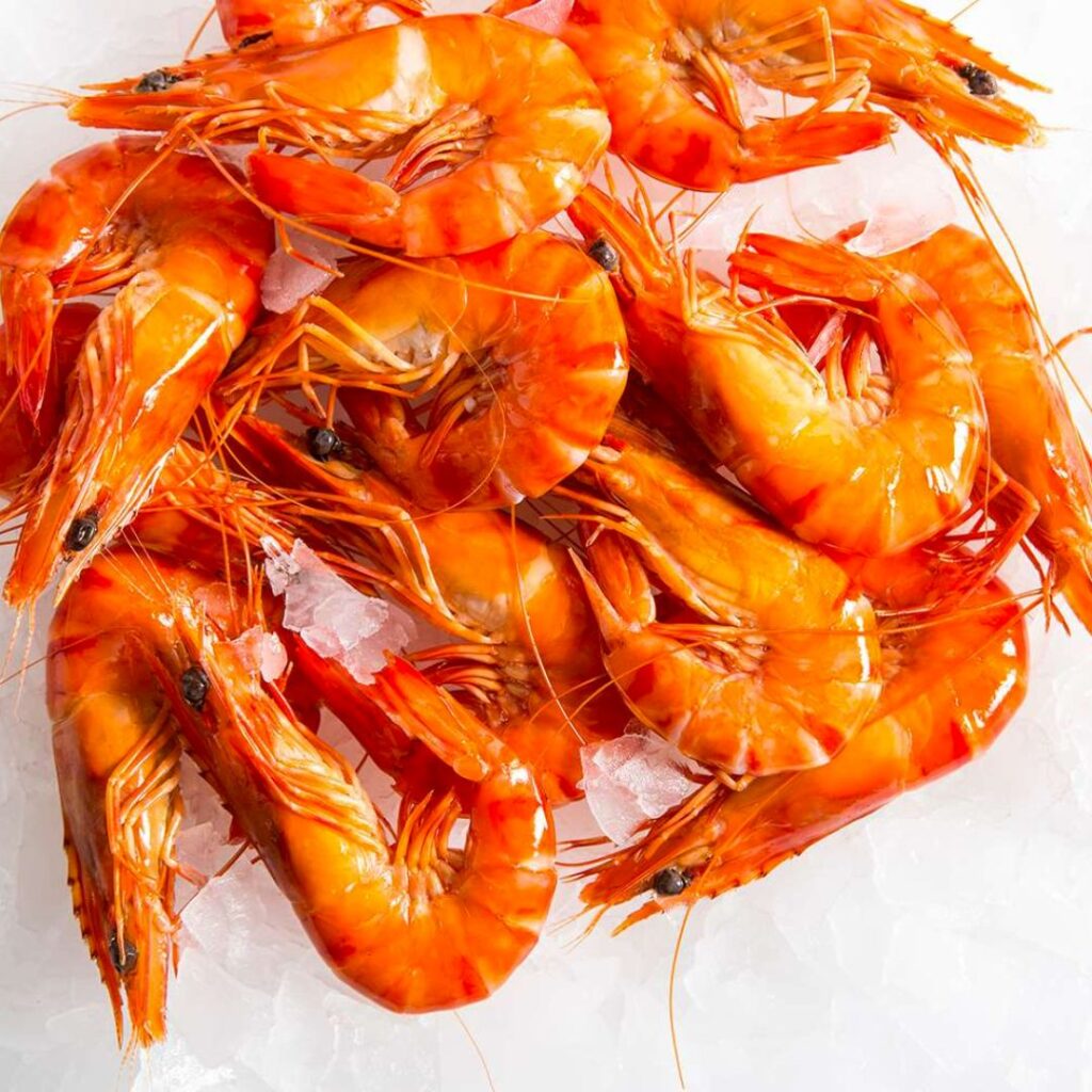 Cooked Prawn Tiger – Riverina Seafood Market